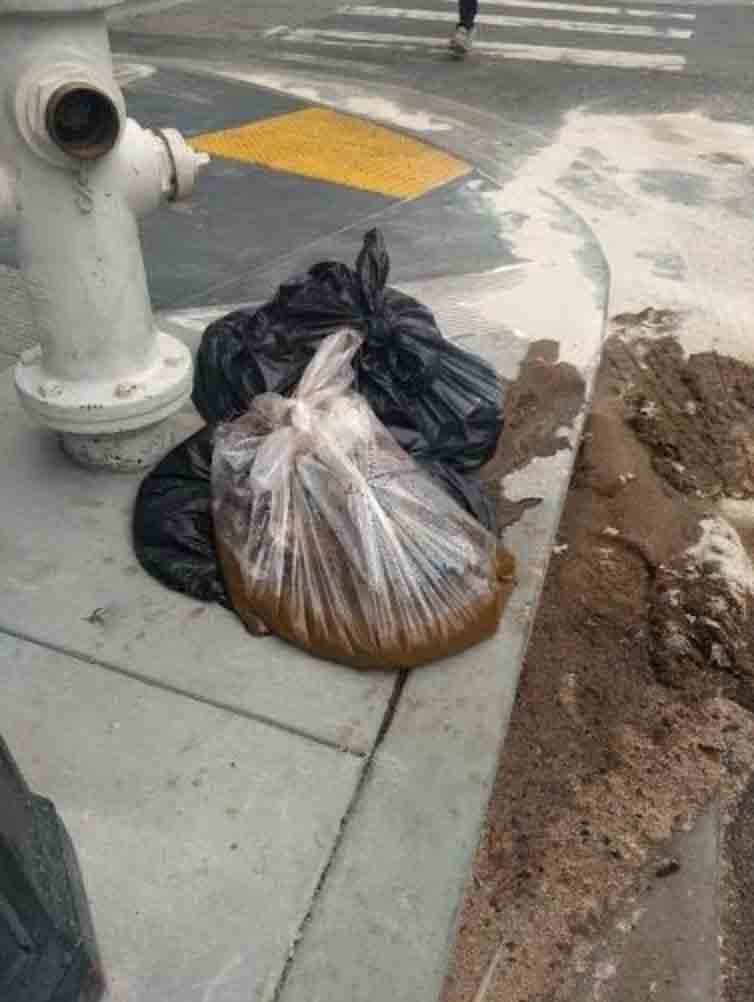 Poop's role in fighting coronavirus