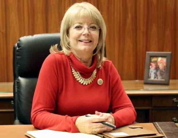 Karen Fann is not releasing the results of the AZ audit this week