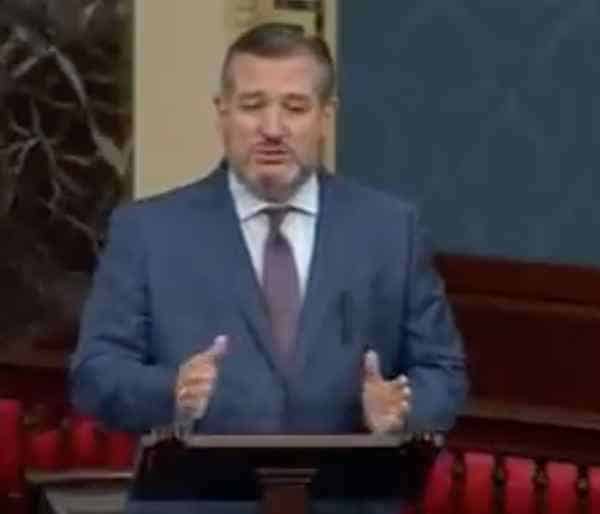 Sen Cruz explains the socialist infrastructure bill