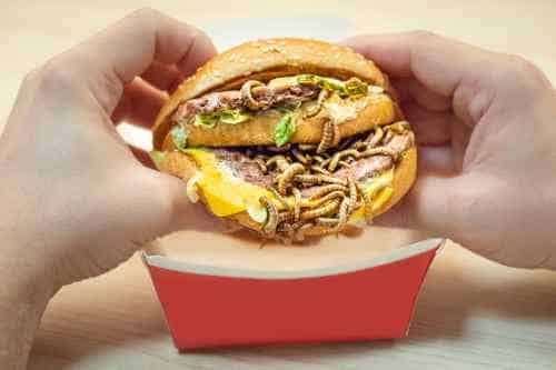 Eat Up All Your Bugs So You Can Save the Planet