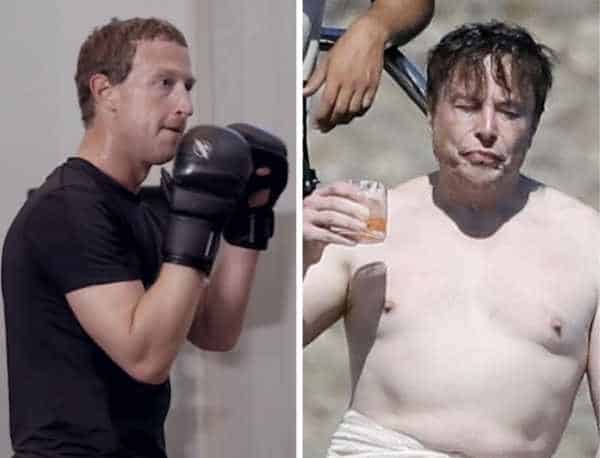 Zuck-Musk Cage Match Is On - www.independentsentinel.com