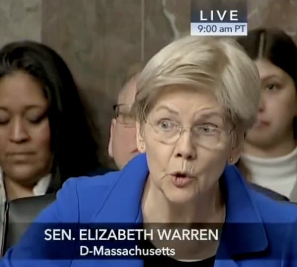 Elizabeth Warren's Deranged Rant at RFK Jr's Hearing