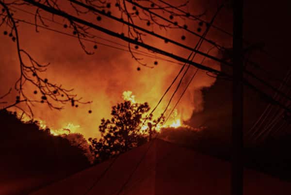 LA Times: Fire Bosses Held Back Most Engines, 1,000 Firefighters