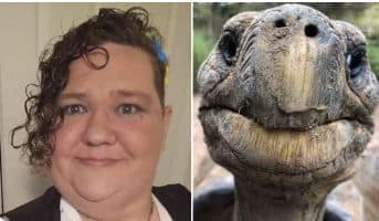 Advisor to Oregon Mental Health Authority Is a Turtle