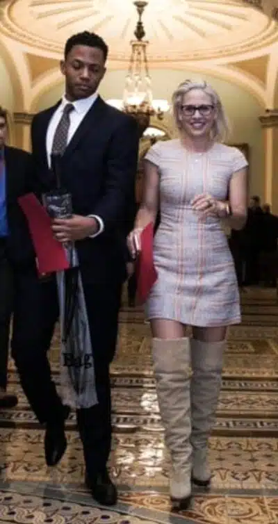 Krysten Sinema Took a Married Security Guard With Her When She Left the ...