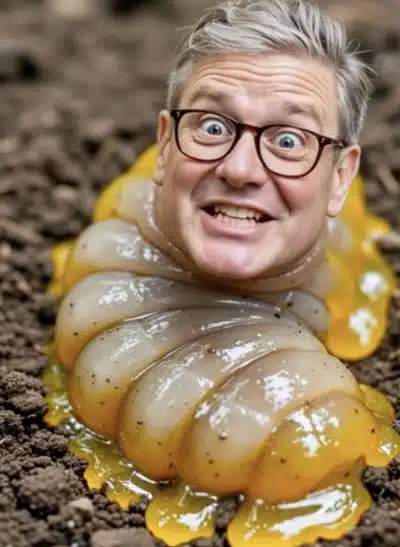 "Appalling" GROK AI Videos the EU Bans