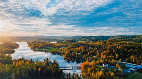 1% of People in Sweden Commit 63% of the Violent Crimes